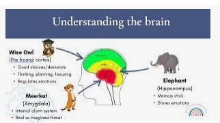 Woodlands Primary School and Oak Tree Nursery